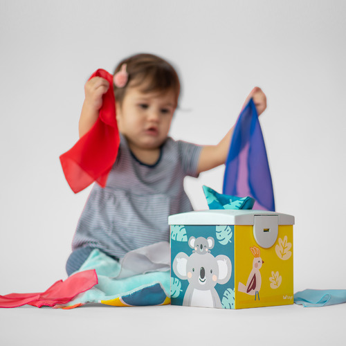 Tissue box toy store